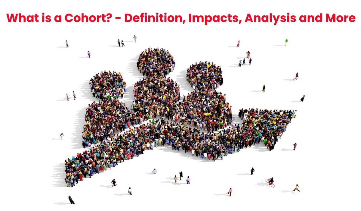 What Is A Cohort Definition Impacts Analysis And More What Is A Cohort Definition Impacts Analysis And More